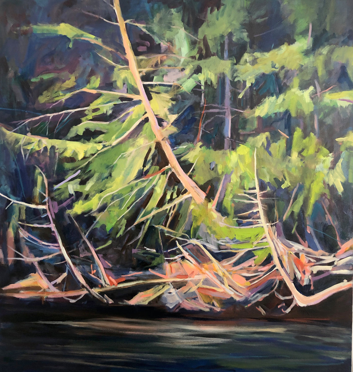 Landscapes – Ariel Watson Lyons